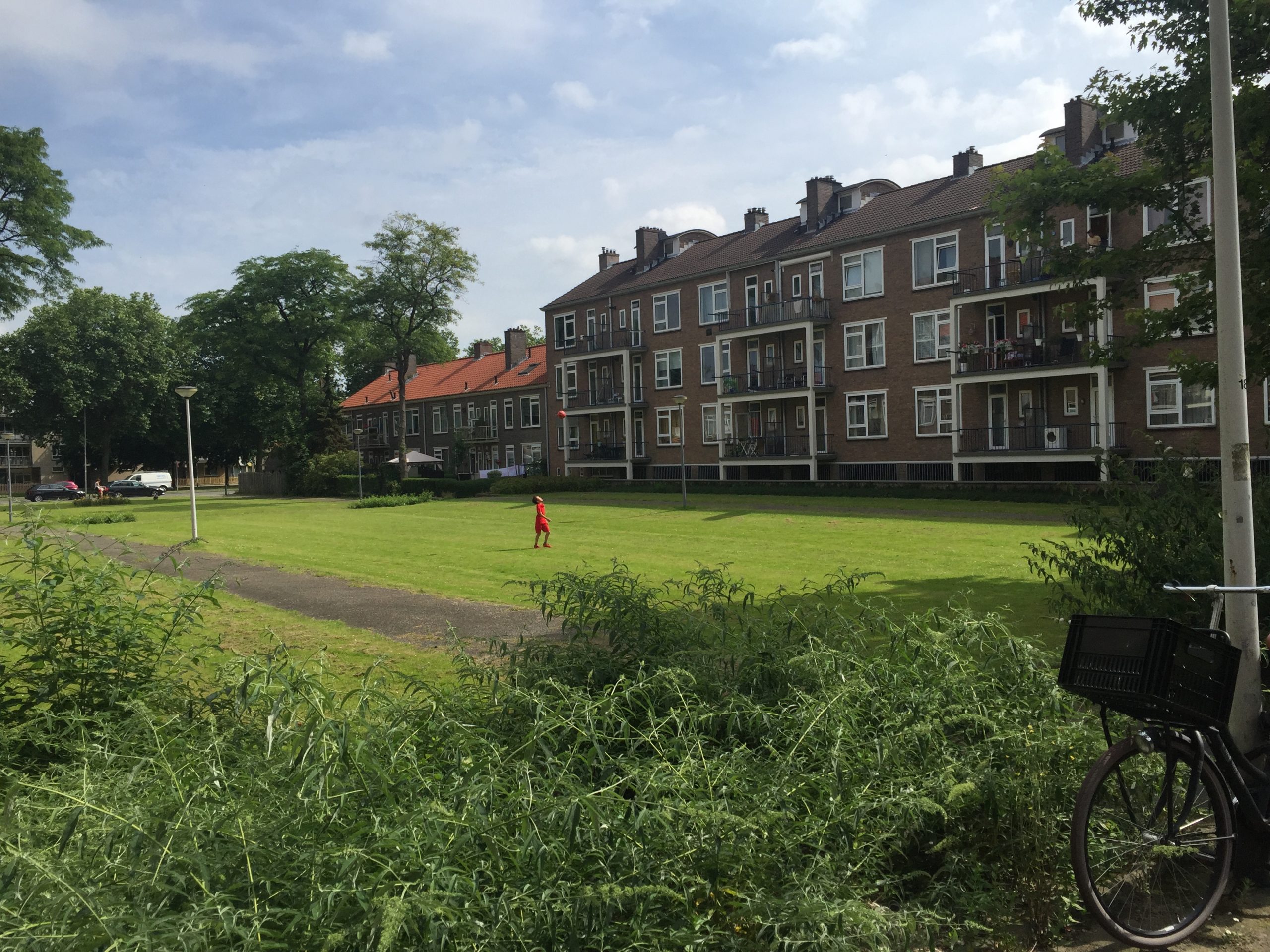 The grift goes on – Eclectic Blue