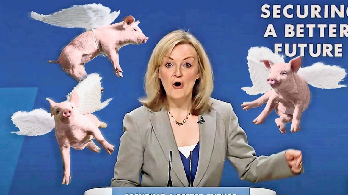 POPCON CON – Eclectic Blue